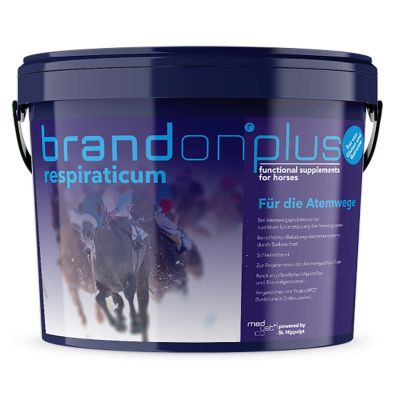 Ergänzungsfuttermittel, Pflegemittel und Zubehör für Pferde